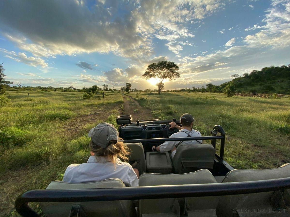 Explore Serengeti Safari Tours in Tanzania with Afrisun Tours and Travel
